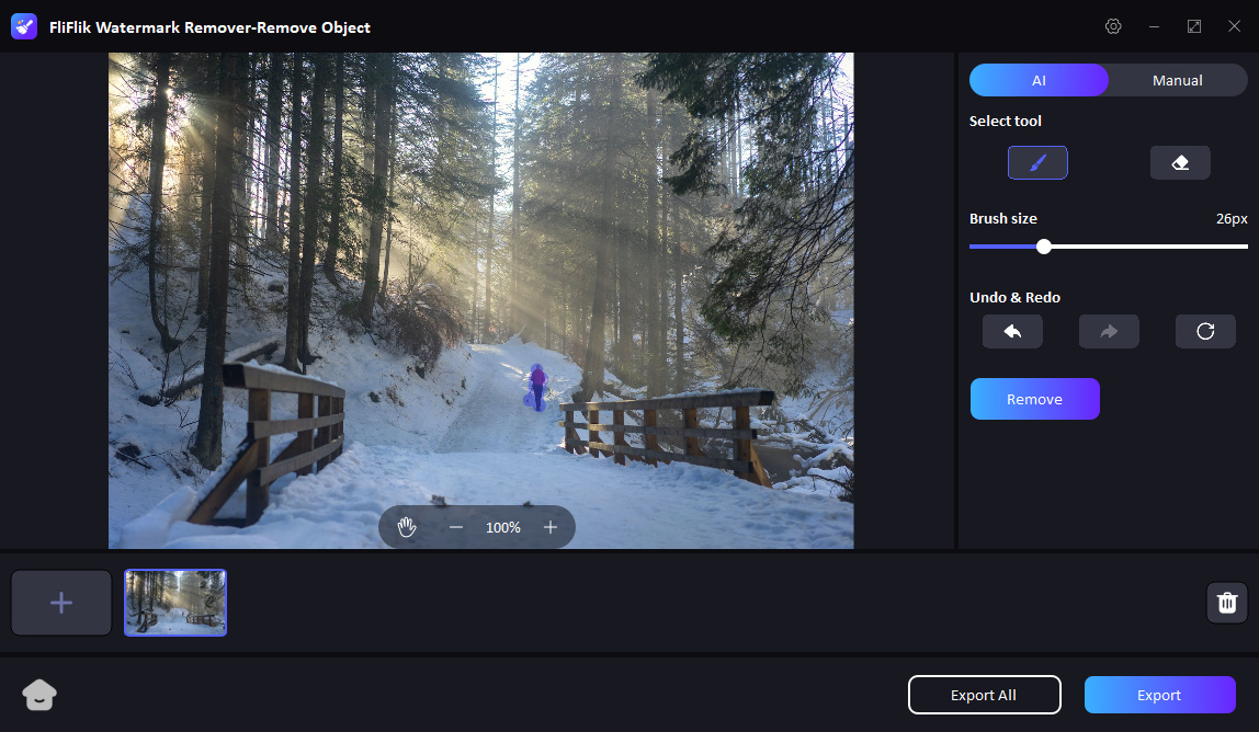 [OFFICIAL]How to Remove Unwanted Objects with FliFlik Watermark Remover